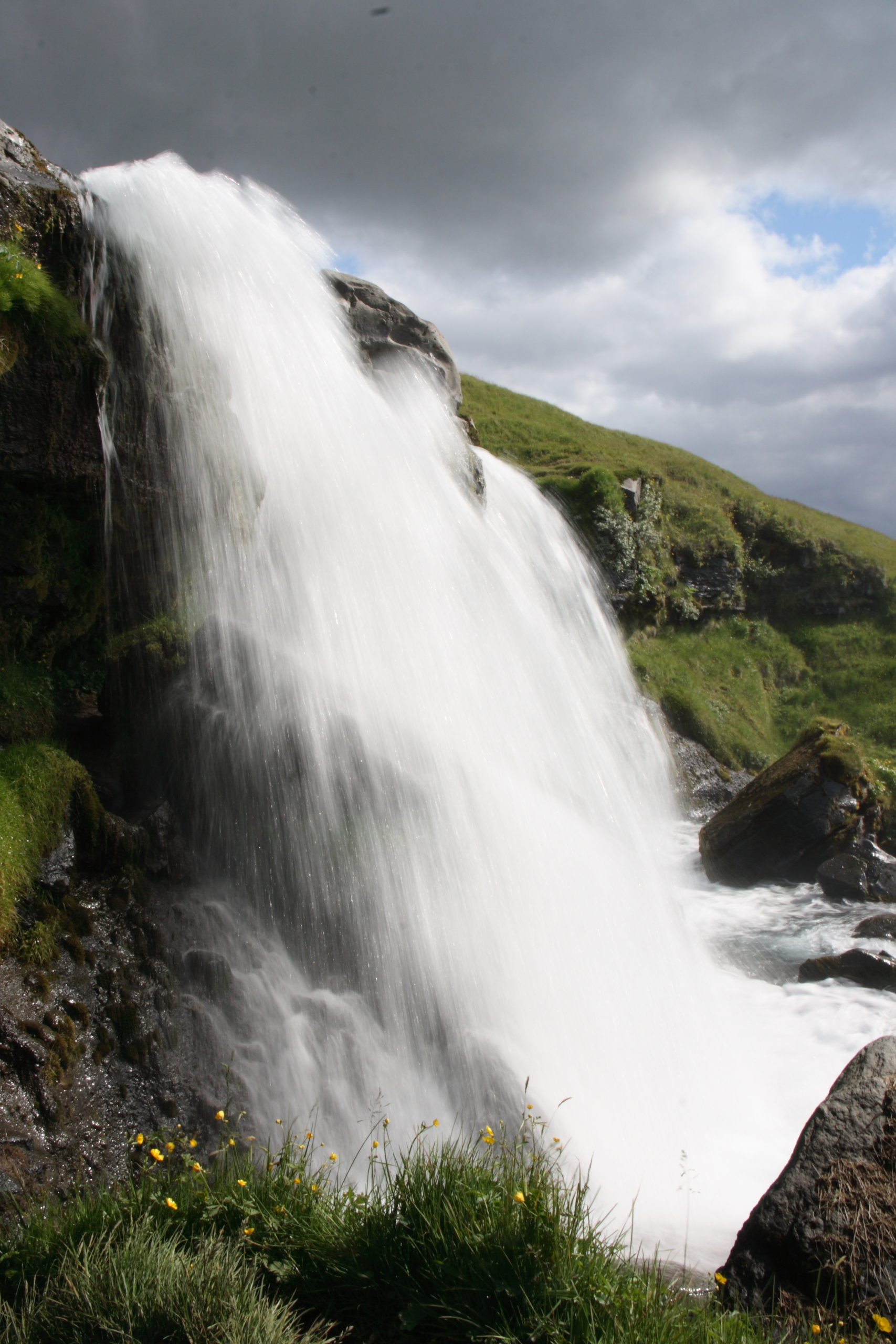 Photo selection from different environments – Alleyn's Nature Adventures