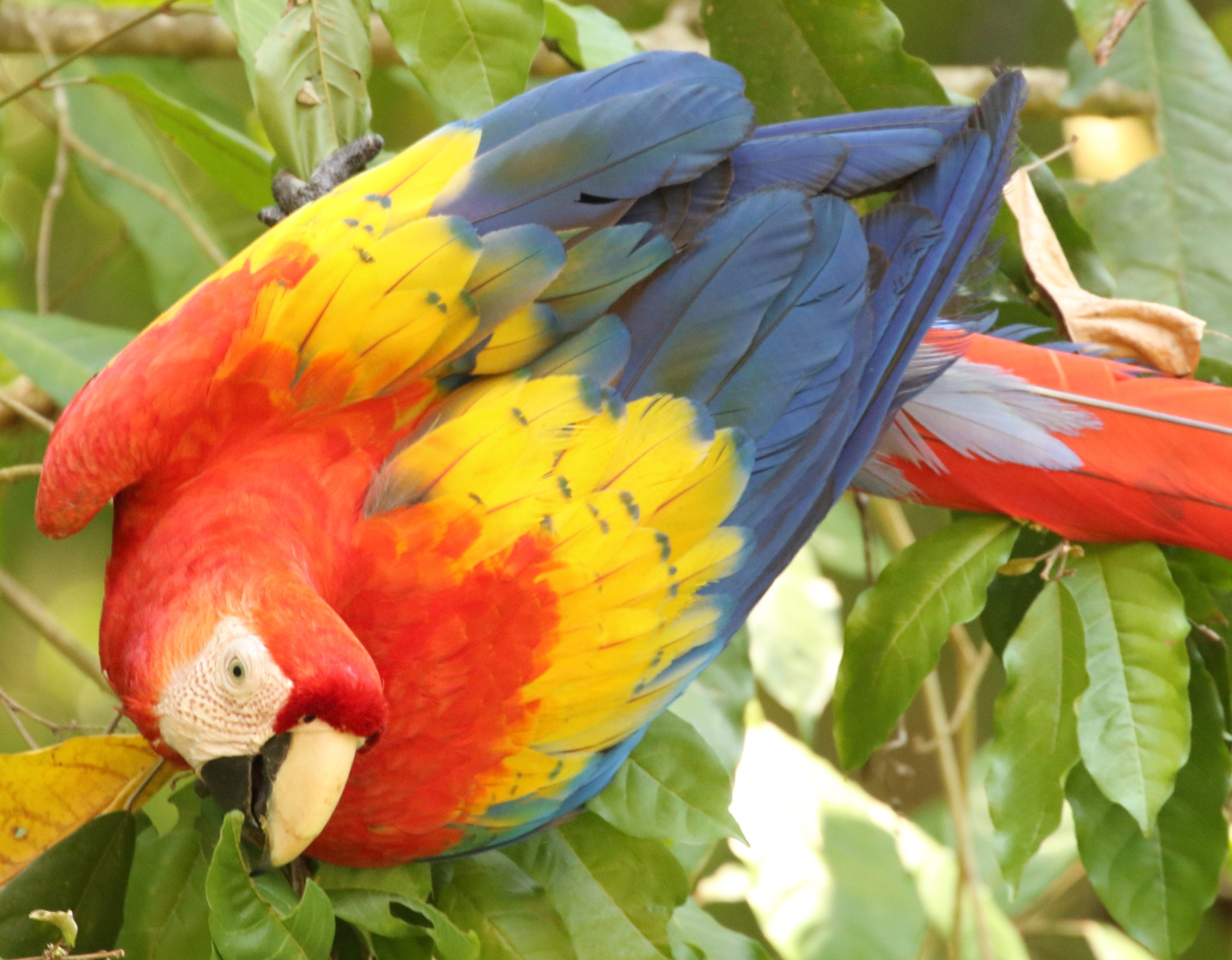 Photo selection from different environments – Alleyn's Nature Adventures